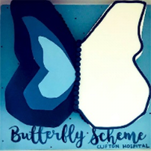 February 2020 | The Butterfly Scheme